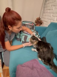 CuidaPet • Vet y peluquería a domicilio | Ñuñoa | 2x3