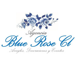 Agencia Blue Rose Cl | Santiago | 2x3