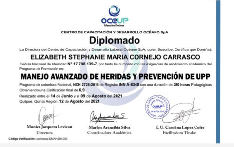 Elizabeth Cornejo | Coquimbo | 2x3