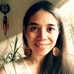 Acupuntura y Medicina Integrativa Dra. Laura Fraga | Talca | 2x3